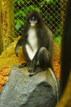 www.Zootierliste.de